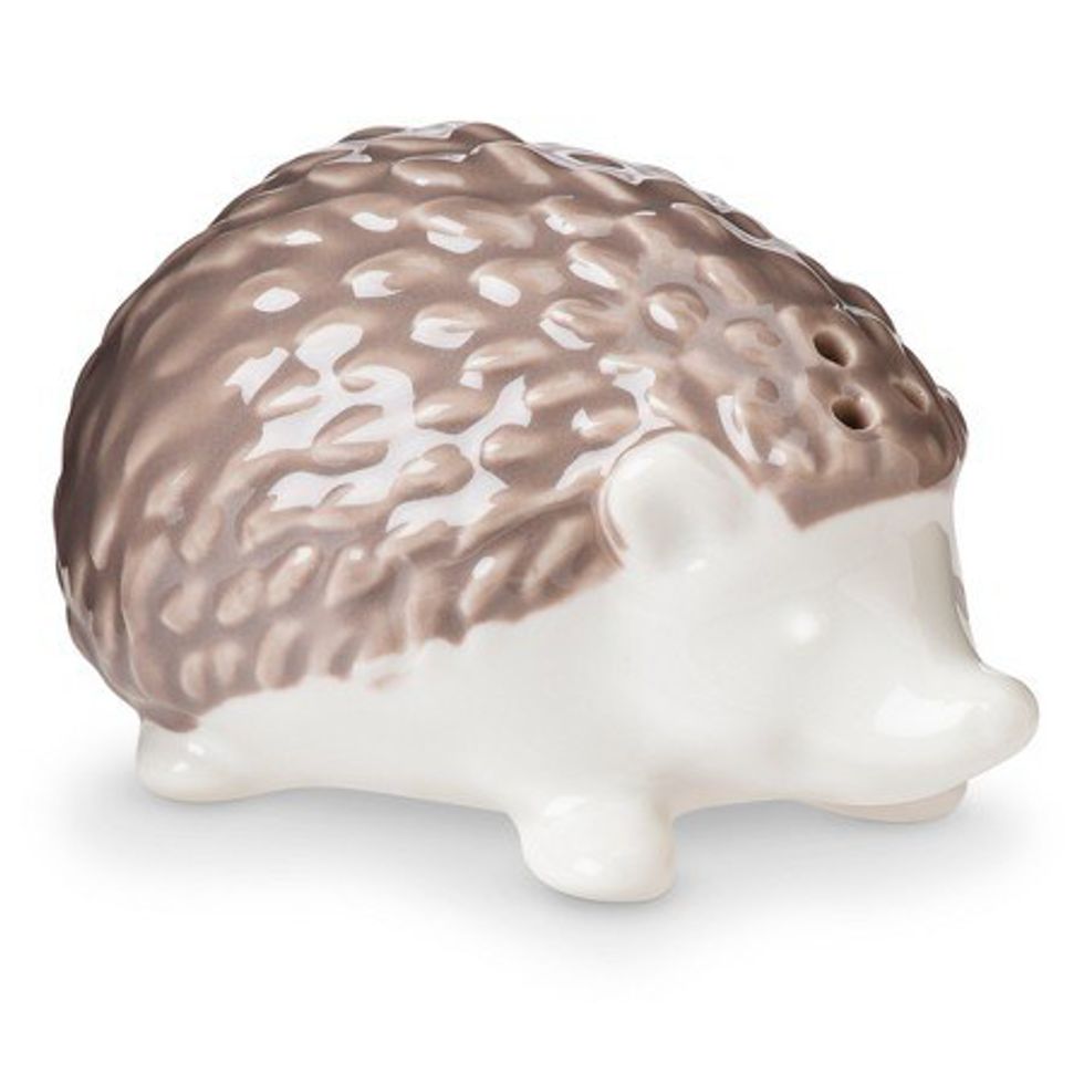 12 Hedgehog Products To Help You Go Whole Hog