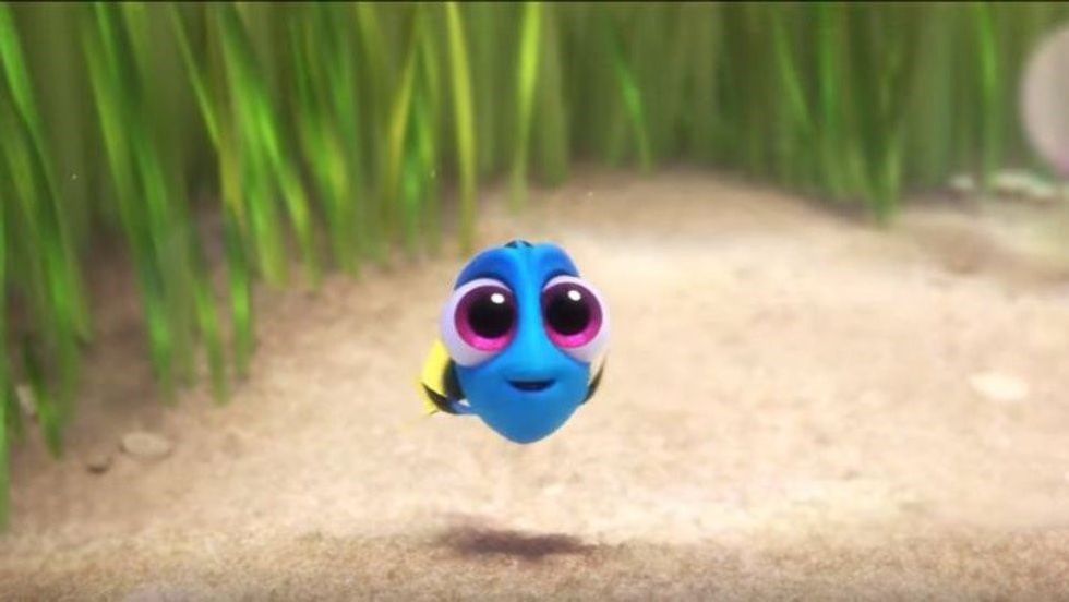 Finding Dory: Was The Film Everything We Were Looking For?
