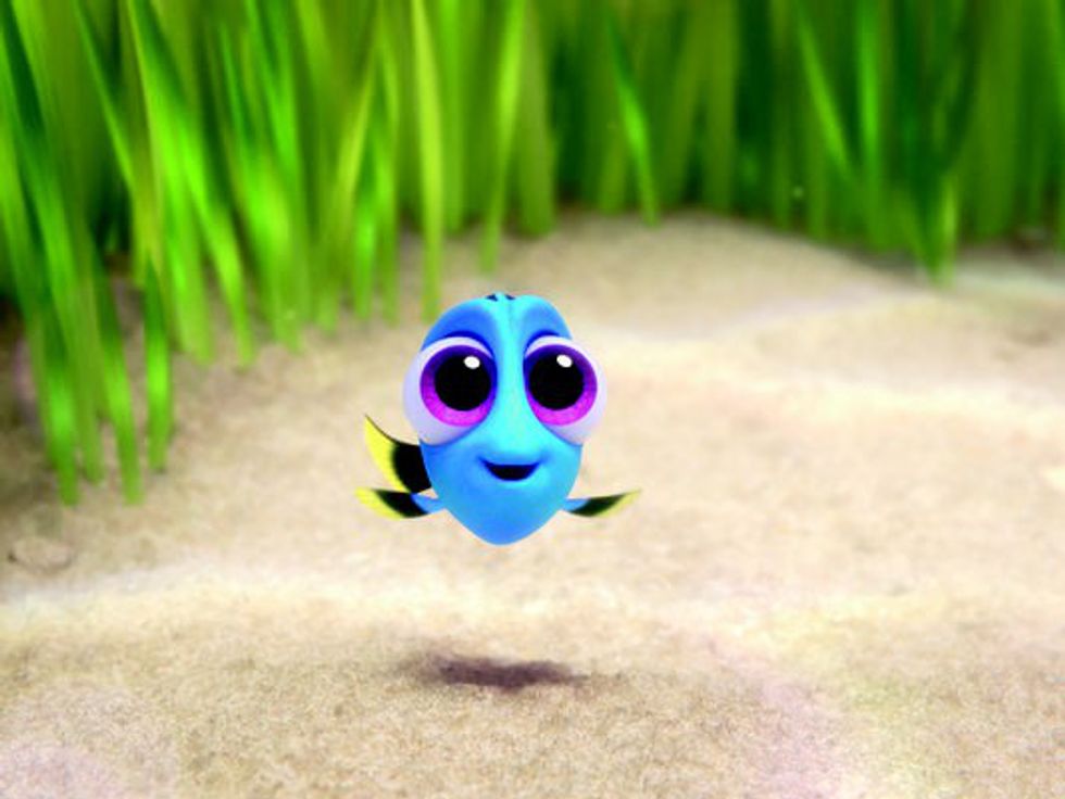 7 Reasons To Go See 'Finding Dory'