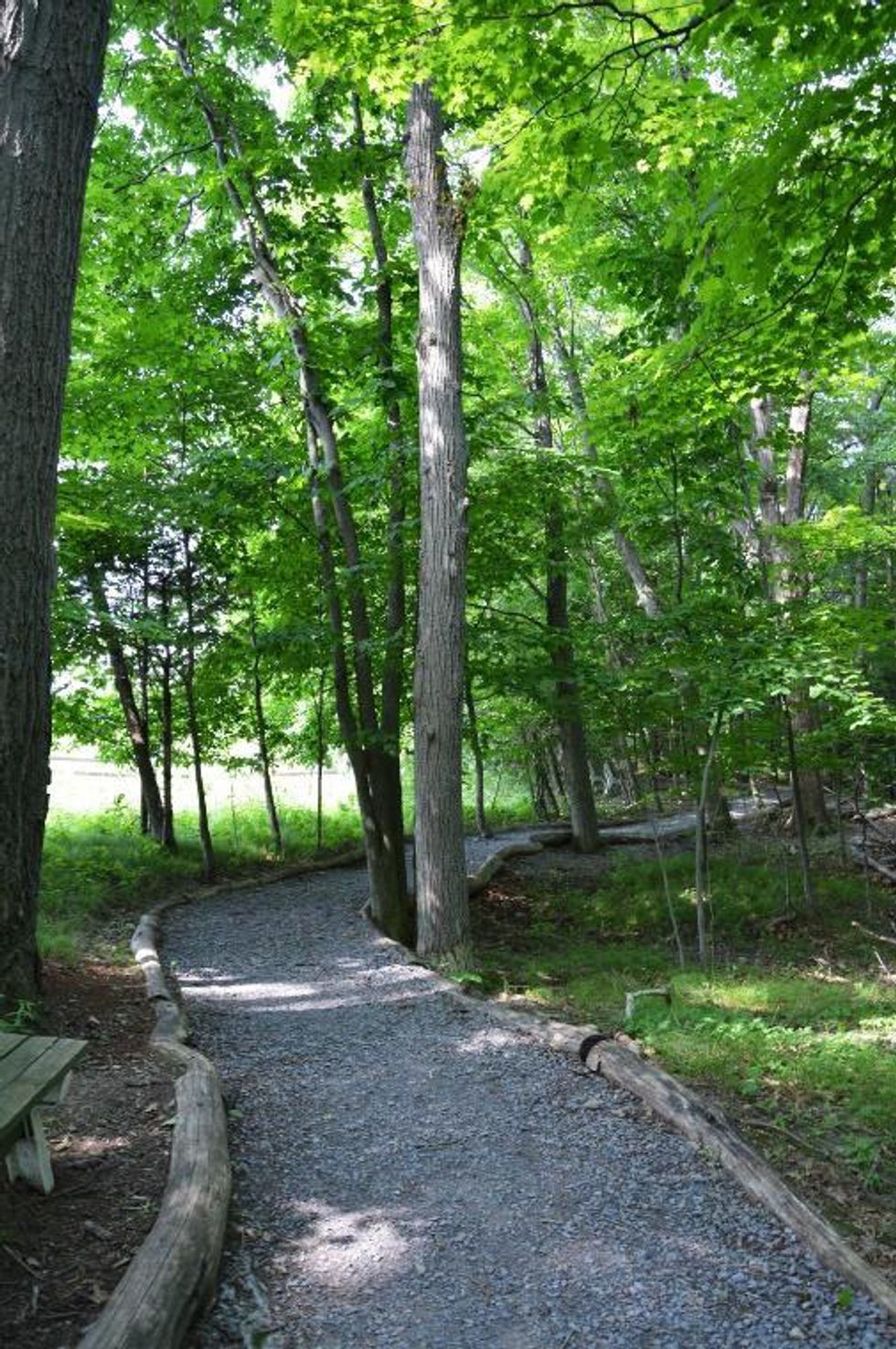 32 Things To Do in Ithaca This Summer