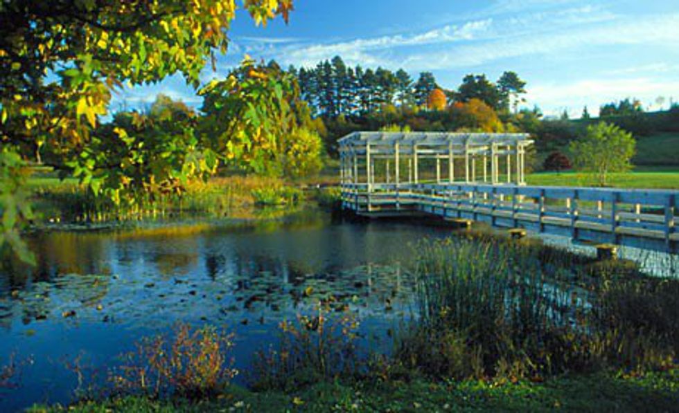 32 Things To Do in Ithaca This Summer