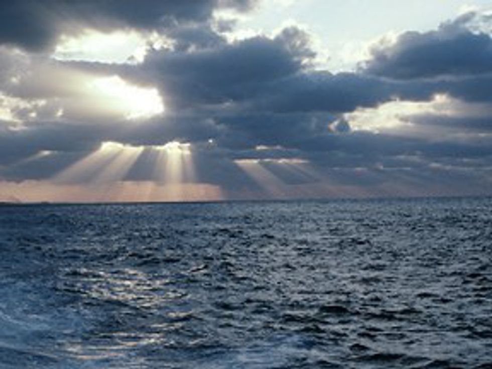 7 Reasons Why Our Oceans Need Our Help 7 Reasons Why Our Oceans Need Our Help