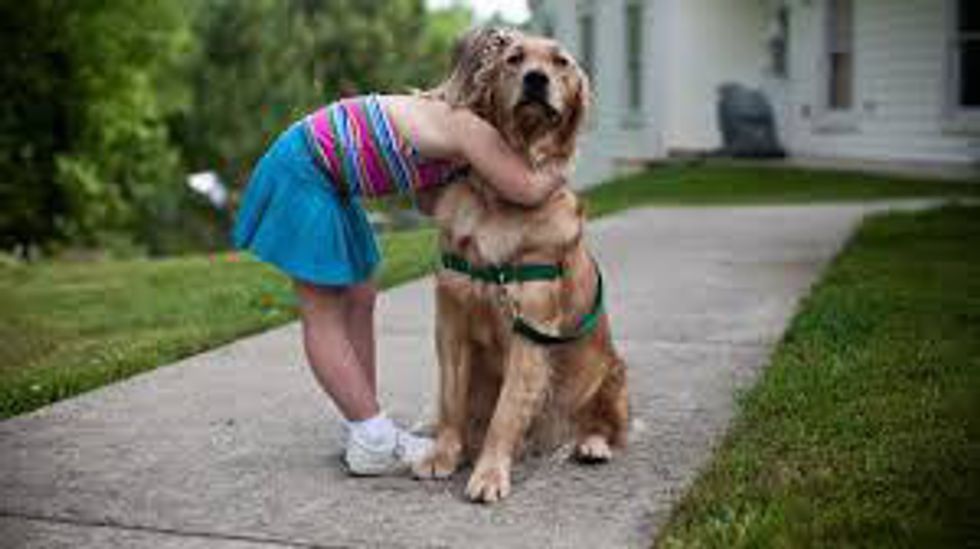 Raising A Dog Is Like Raising A Child