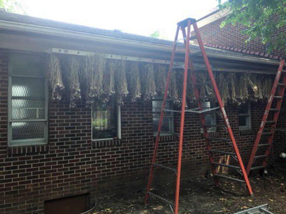 Jerusalem Farm: The Best Way To Learn About The Earth