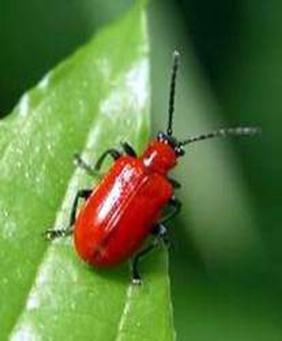 12 Frightening Food Facts