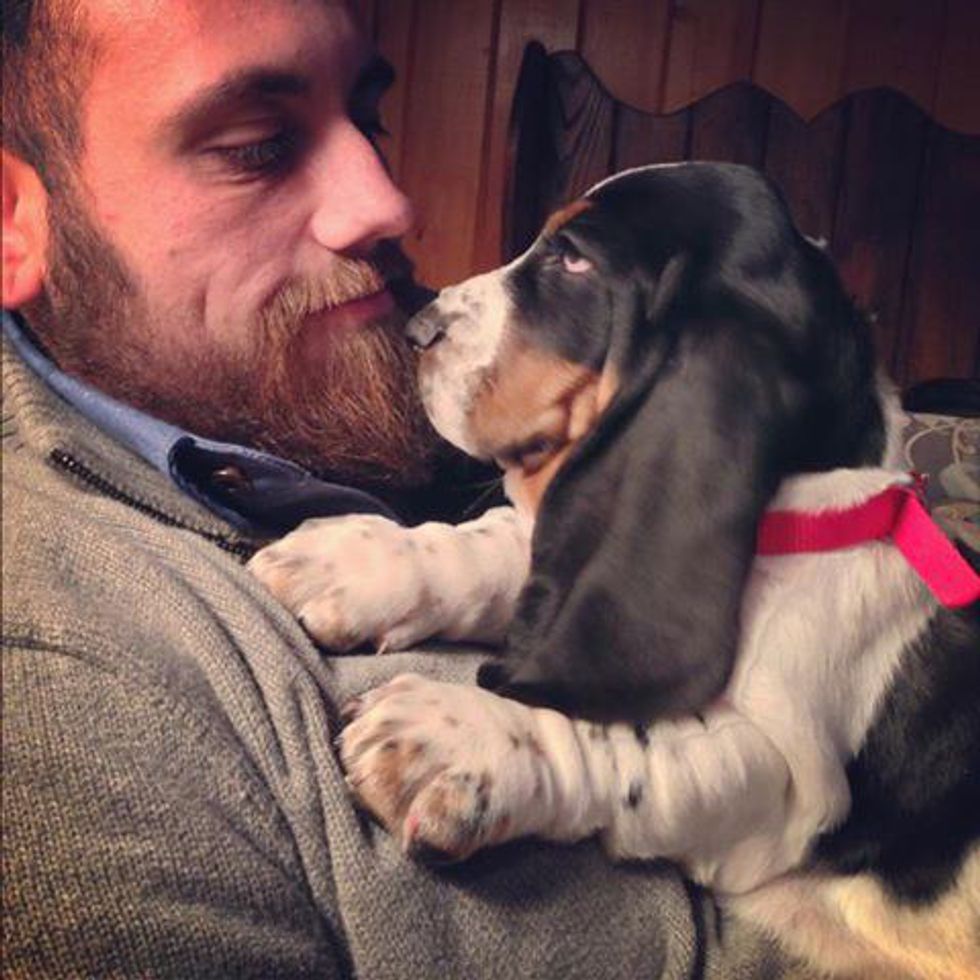 8 Things To Love About Basset Hounds