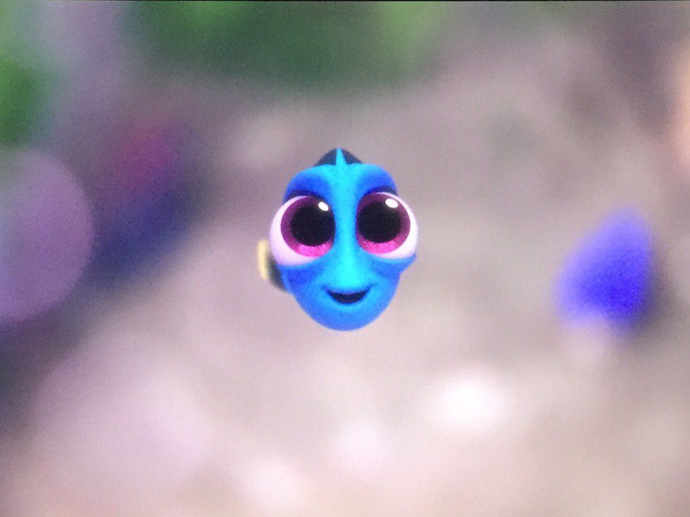 What Finding Dory Can Teach Us About Loving People With Mental Illness