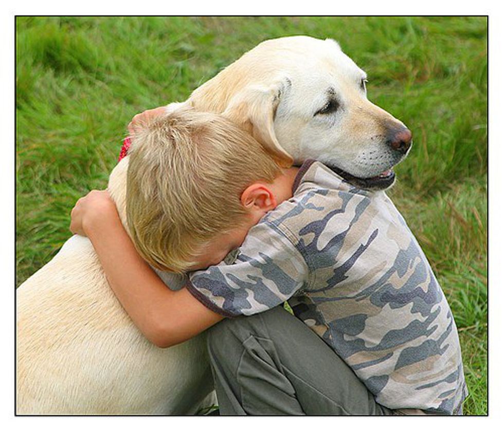 10 Reasons Why I Love Dogs