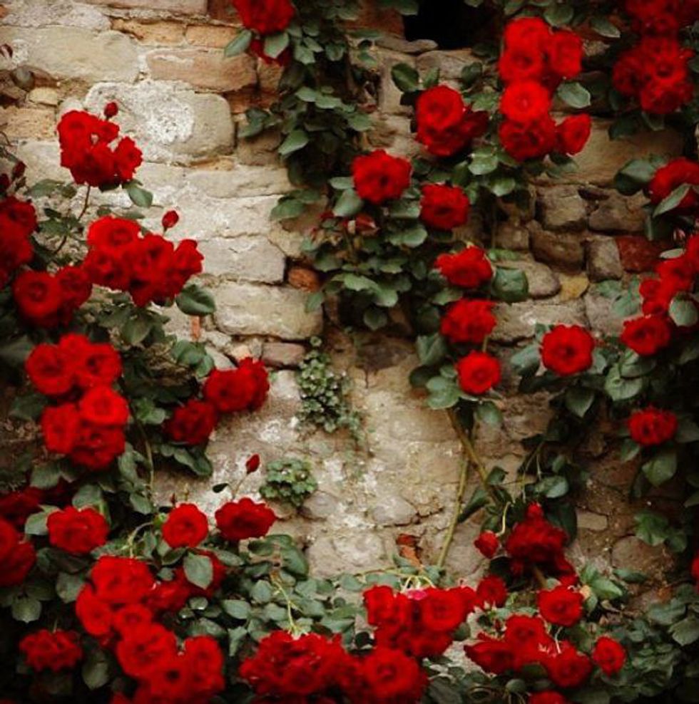 10 Ethereal Songs That Everyone Should Listen To