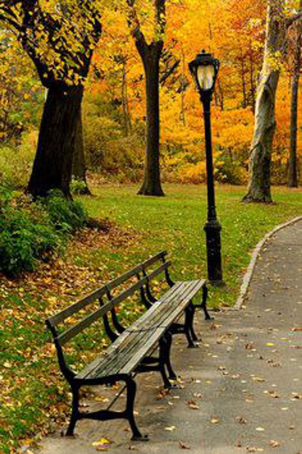 12 Things To Do When You Need A Break From Media