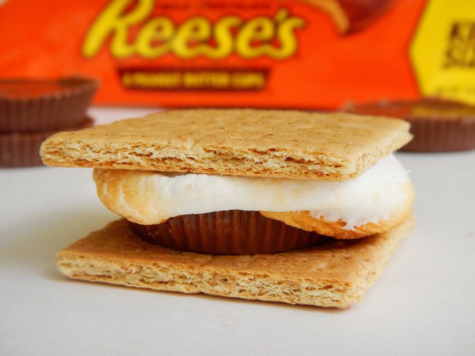 9 Types Of S'mores That Will Light Up Your Life