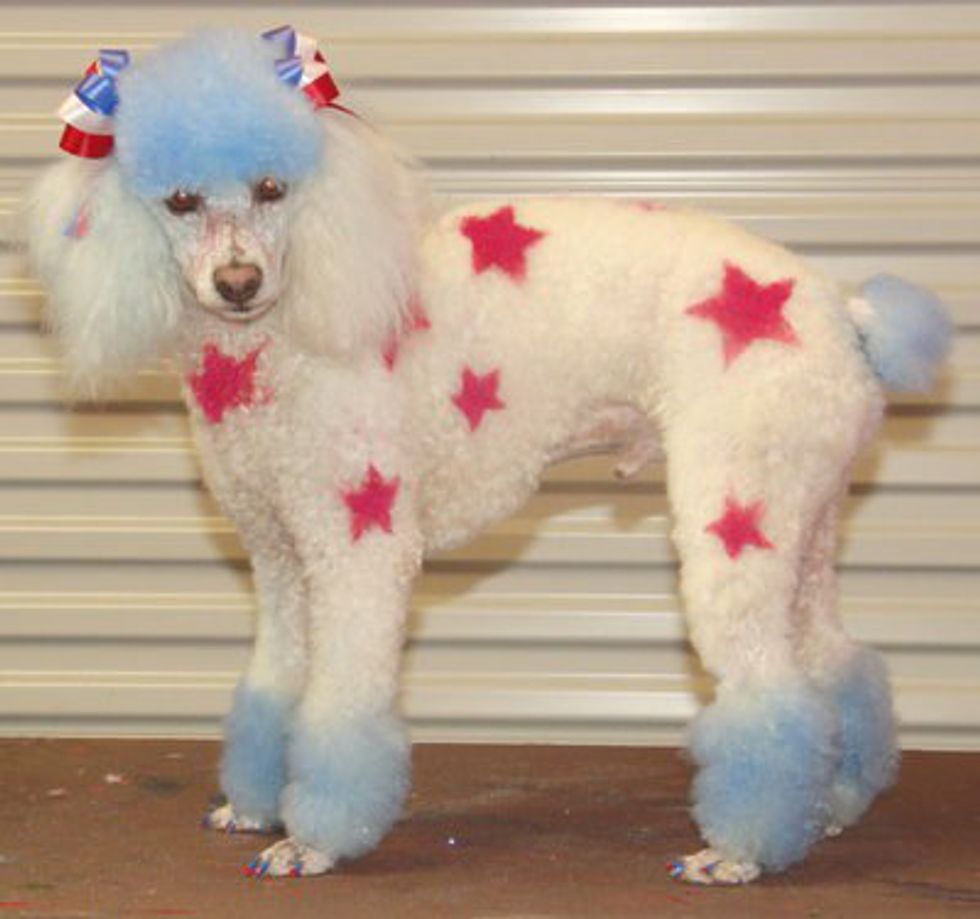 29 Patriotic Dogs To Make Your 4th Even Better