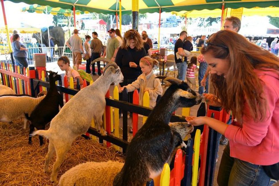6 Reasons To Go To Your County Fair