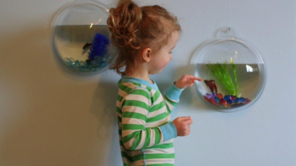 11 Reasons Why Having A Pet Fish Is The Best Thing Ever