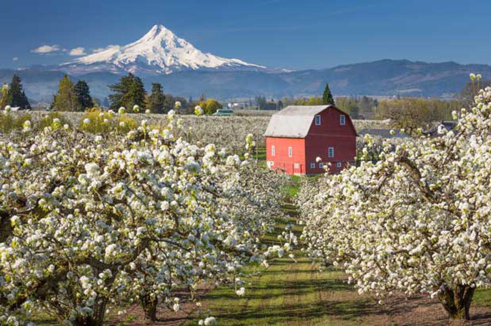 5 Reasons Why Summer In The Pacific Northwest Is The Best