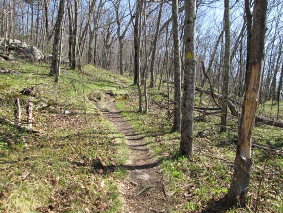 10 Activities To Do In The Country, That Can't Be Done In The City