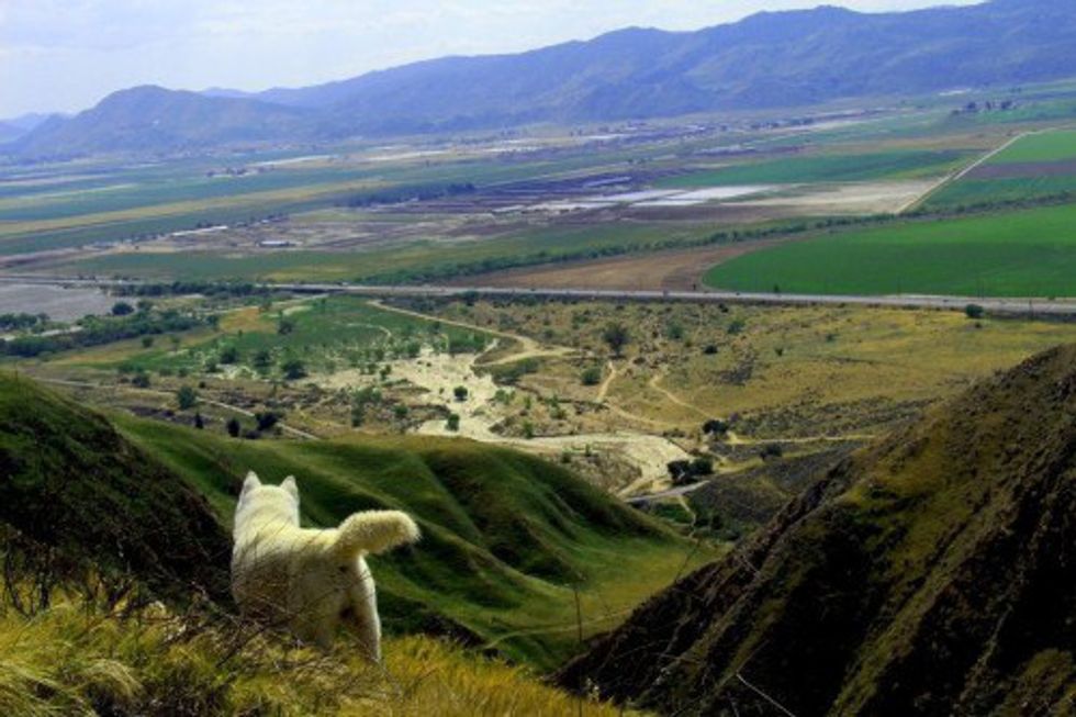 11 Ways To Know You're From Hemet, CA