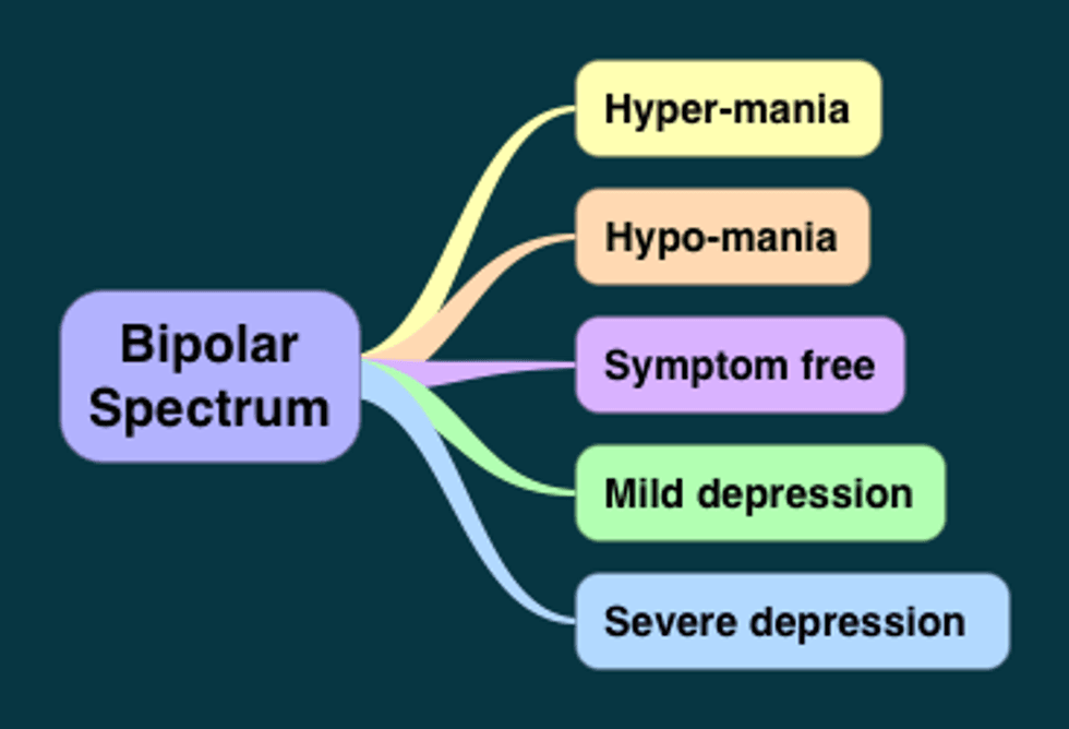 The True Nature of Bipolar Disorder