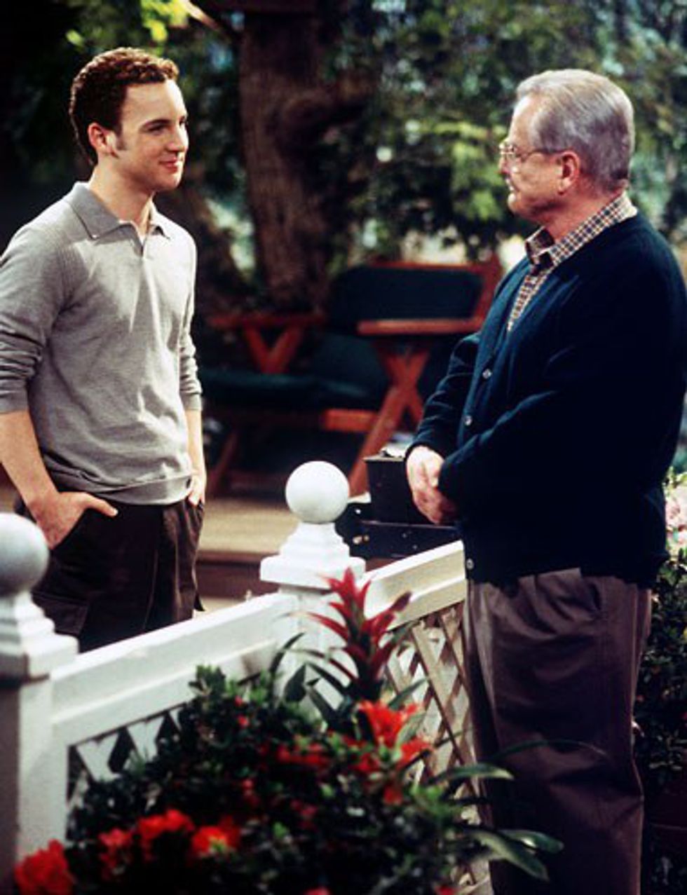 Most Memorable Neighbors Of The '90s