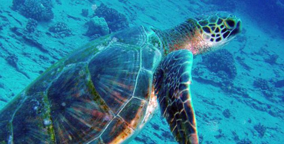 Top 10 Reasons To Visit The Cayman Islands