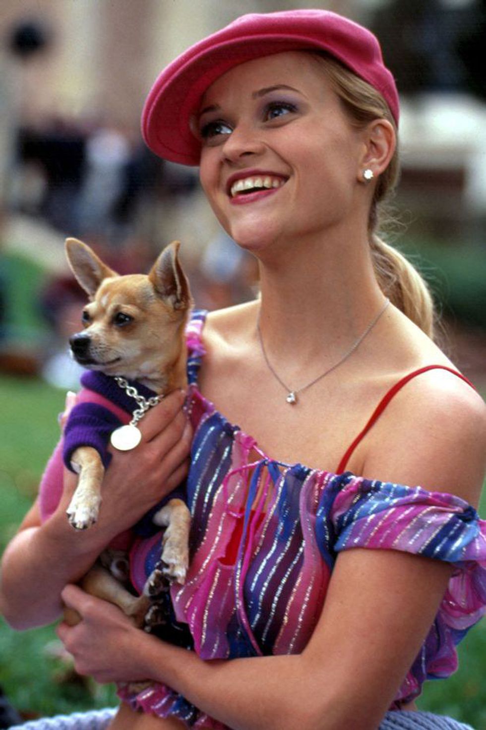 14 Legally Blonde Moments to Get You Through the LSAT