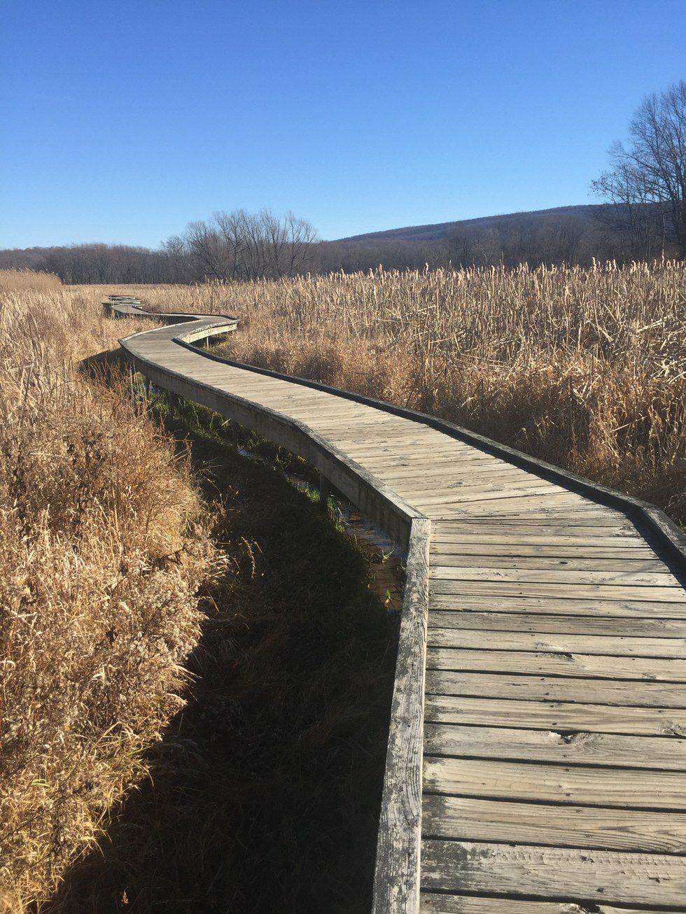 North Jersey Hiking Spots Worth Checking Out This Summer