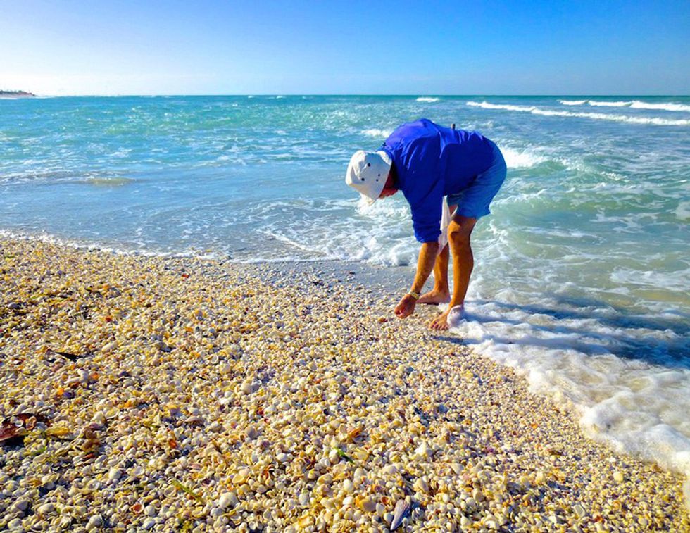 7 Types Of Beachgoers