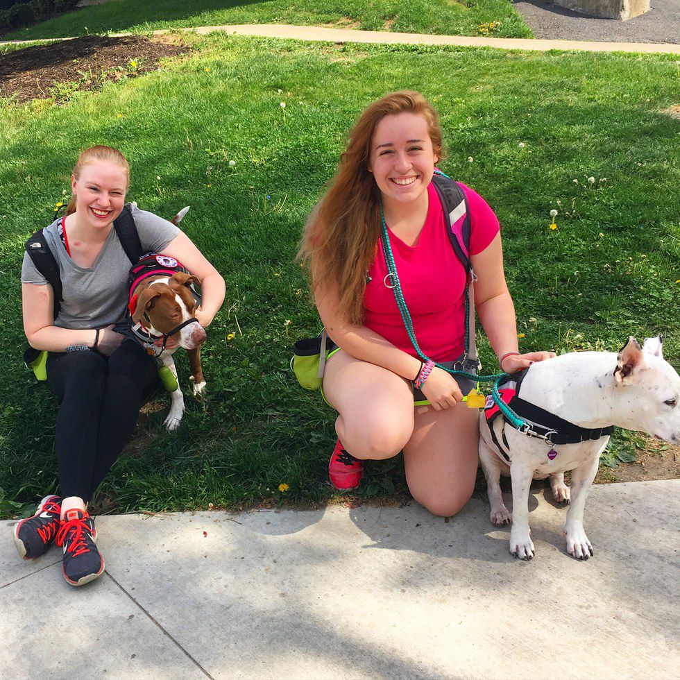 19 Things Service Dog Handlers Hear Every Day