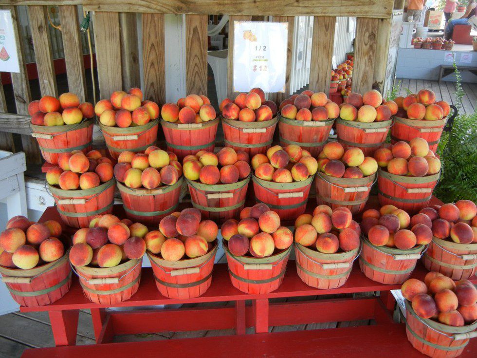 10 Reasons Why Georgia Is The Best State