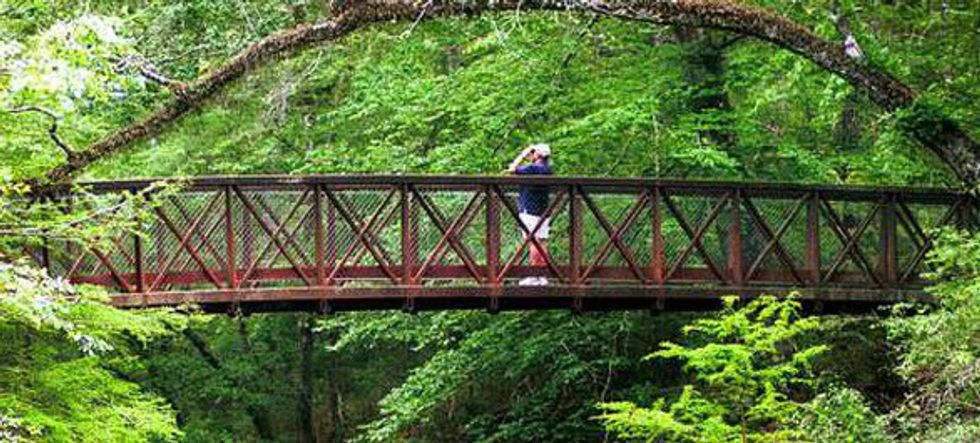 9 Signs That You Are From Deep Southeast Texas