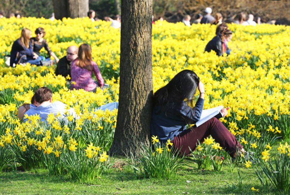 Six Things I Love About Spring