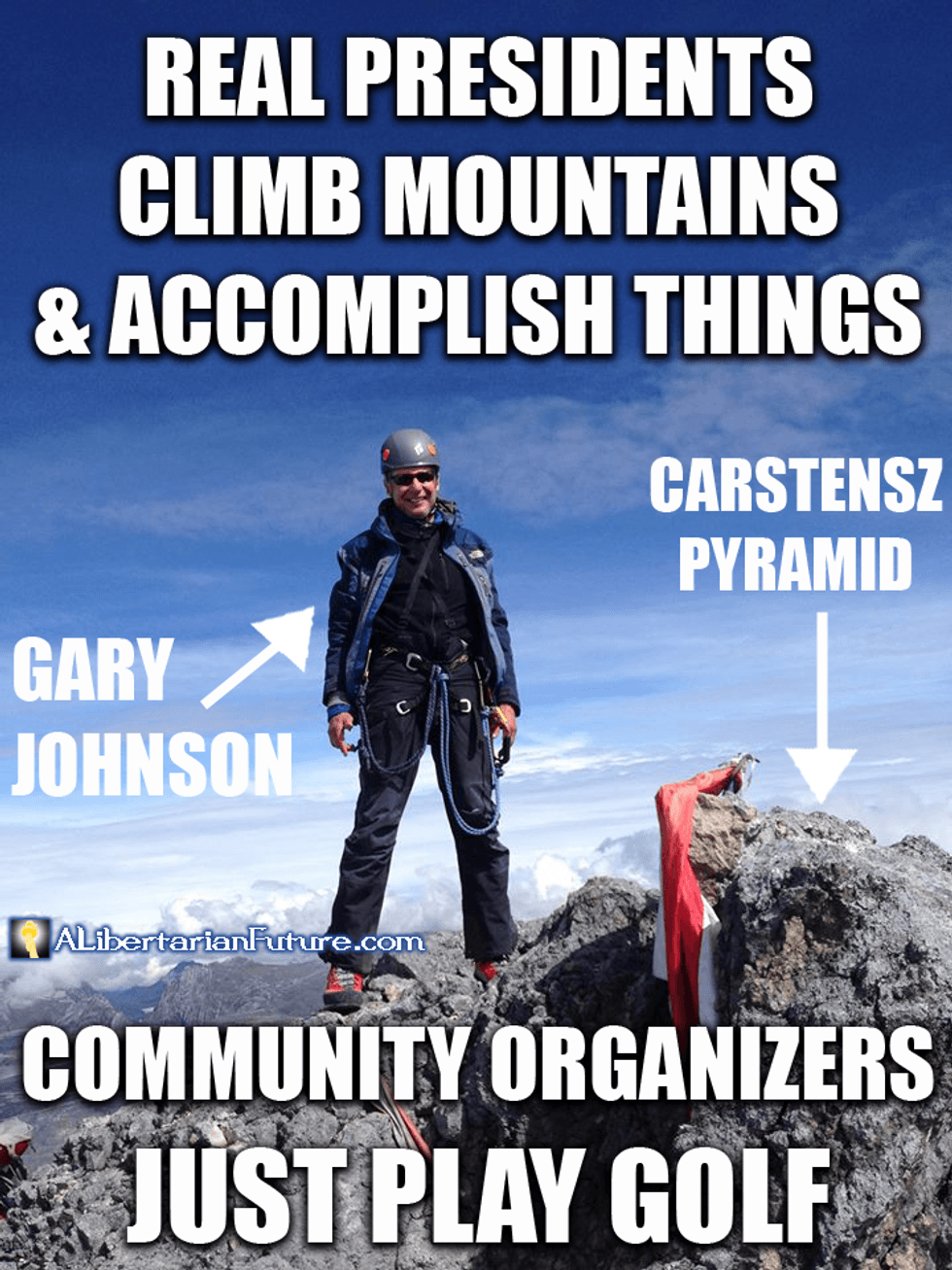Gary Johnson For Dummies