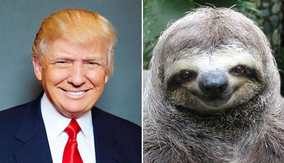 10 Trump Look-Alikes To Get You Through The Week