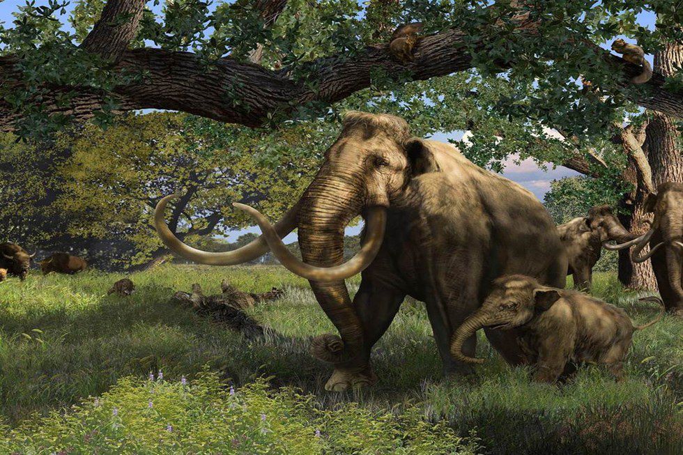 10 Ultra Cool Megafauna Giants