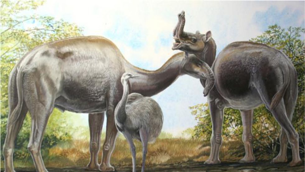 10 Ultra Cool Megafauna Giants