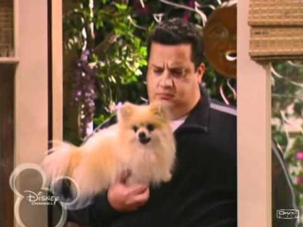 16 Underrated Disney Channel Characters From The Early 2000s