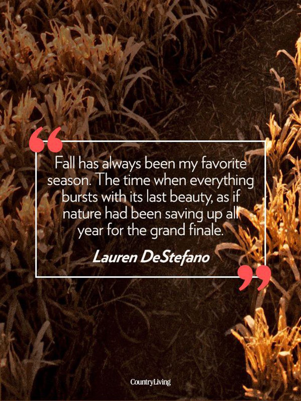 6 Quotes To Get You In The Mood For Fall