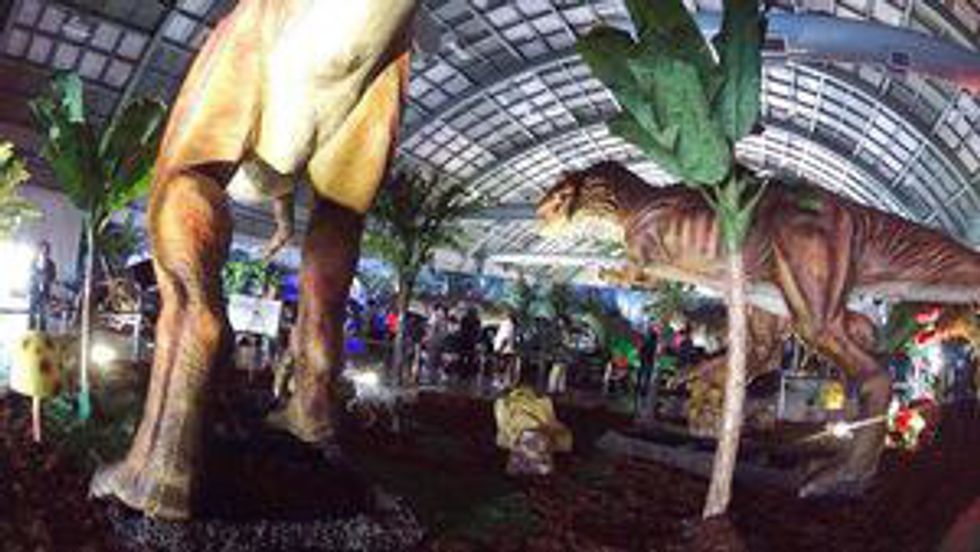 13 Fun Things To Do In Waco