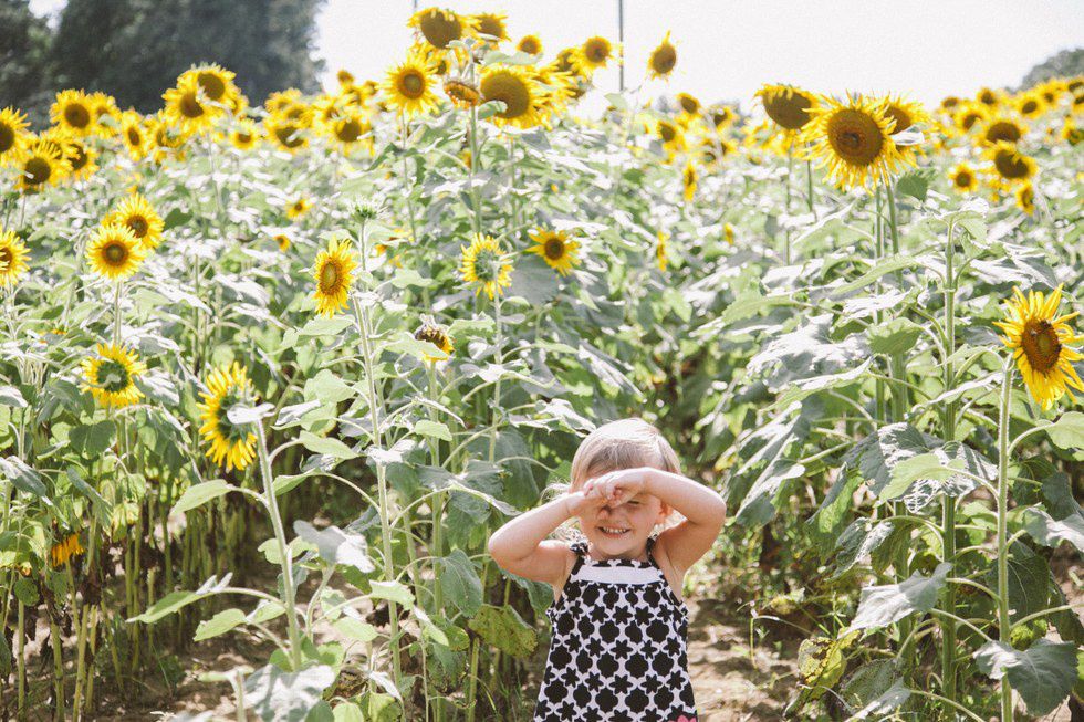 Are You A Human Or A Sunflower?