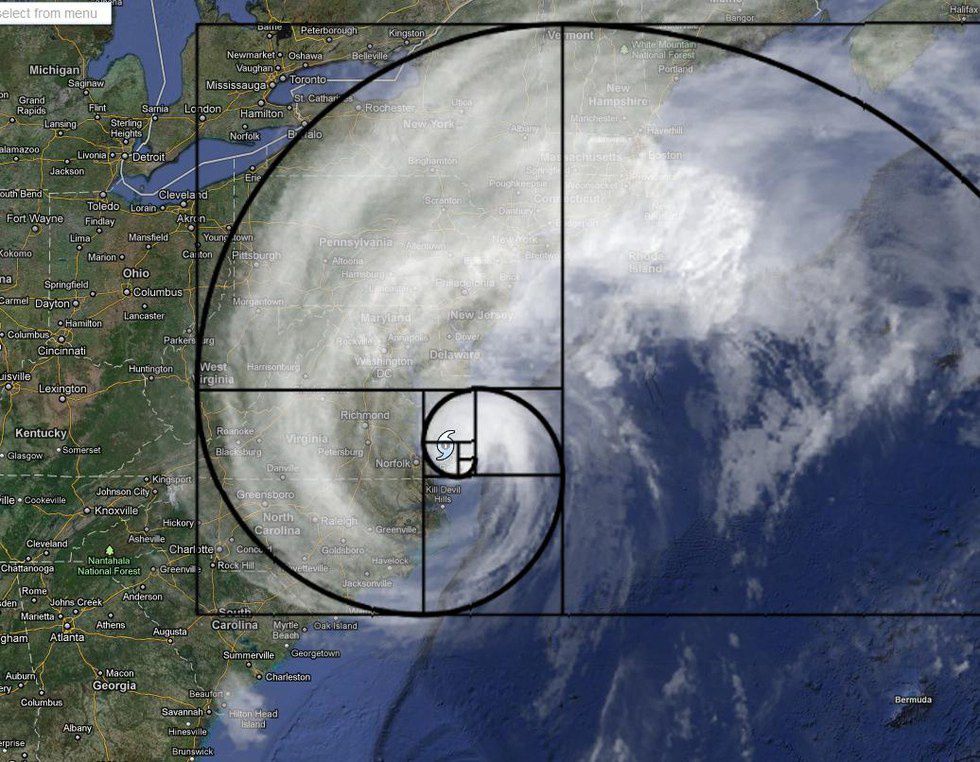 7 Beautiful Examples Of The Fibonacci Sequence In Nature 7 Beautiful Examples Of The Fibonacci Sequence In Nature