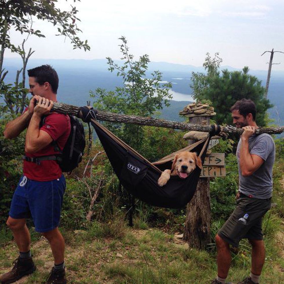 11 Ways To Eno Like A Pro