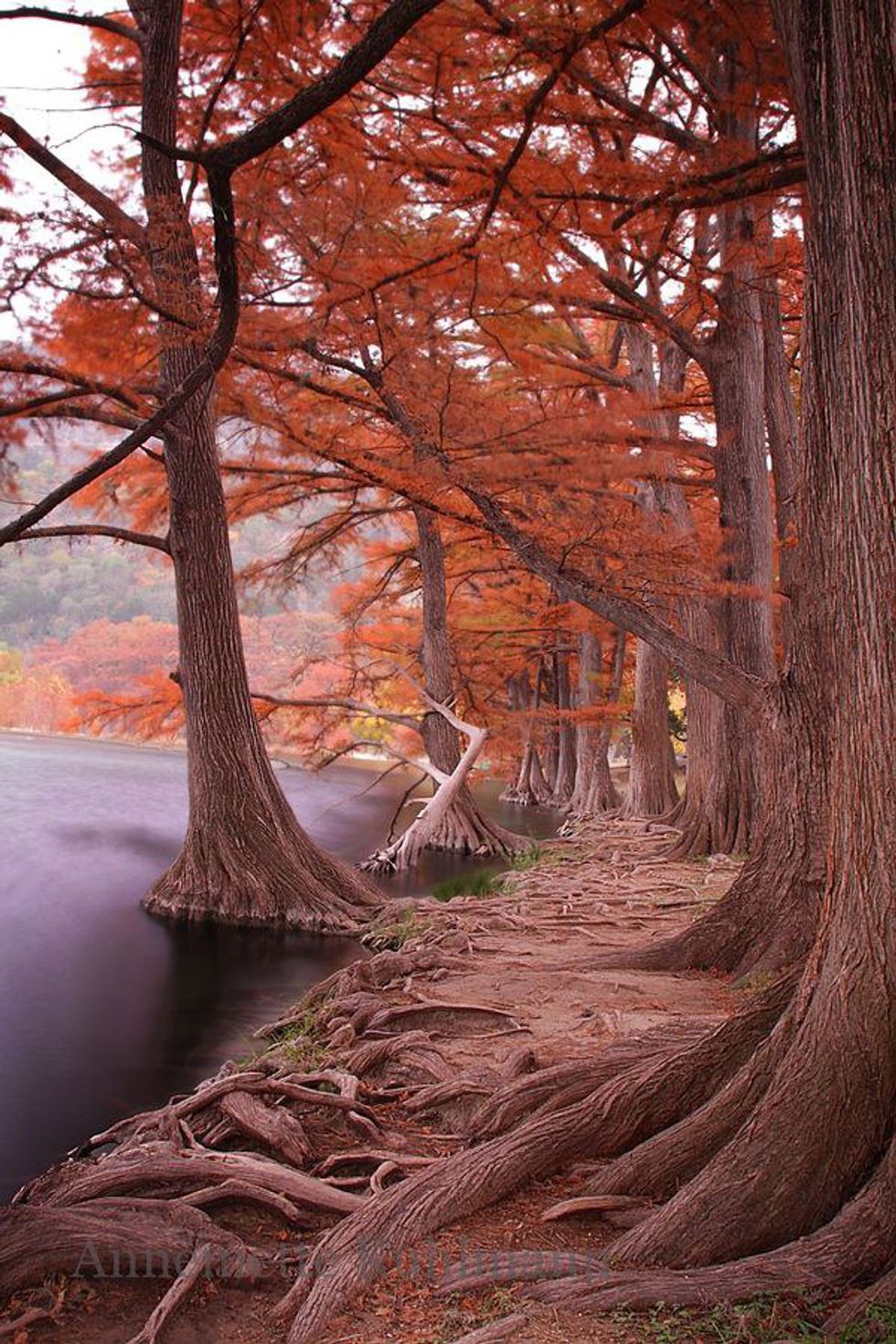 Top 10 Fall Favorites