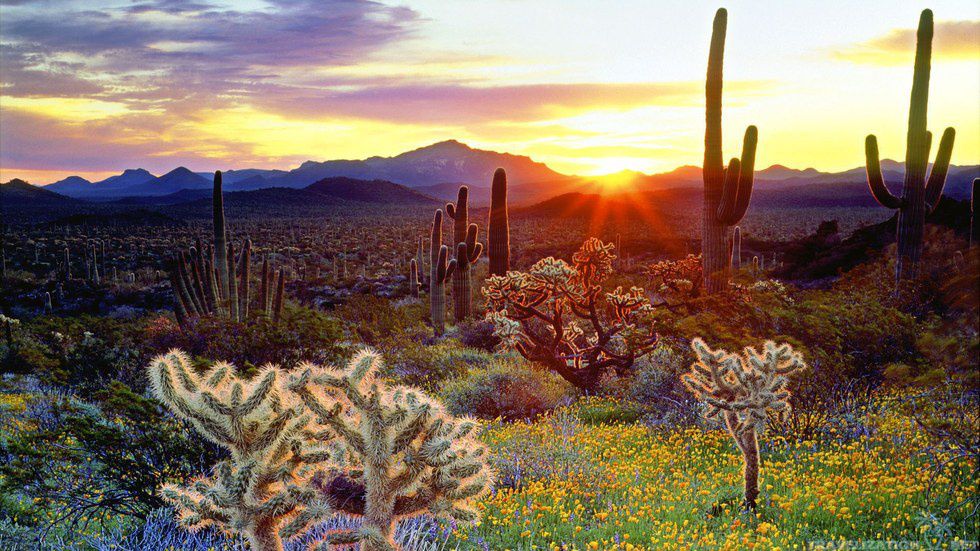 10 Reasons To Watch The Sunrise And Sunset