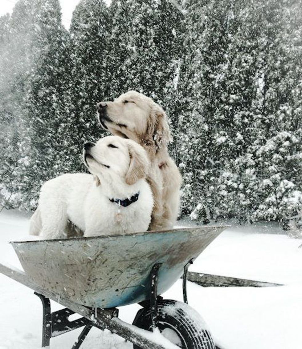 It’s The Most Wonderful Time Of The Year