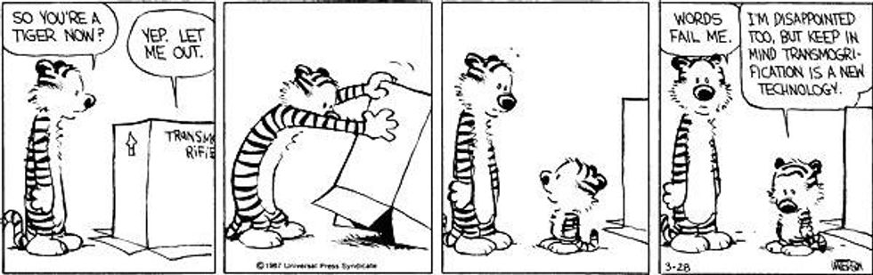 10 Best Calvin And Hobbes Comic Strips