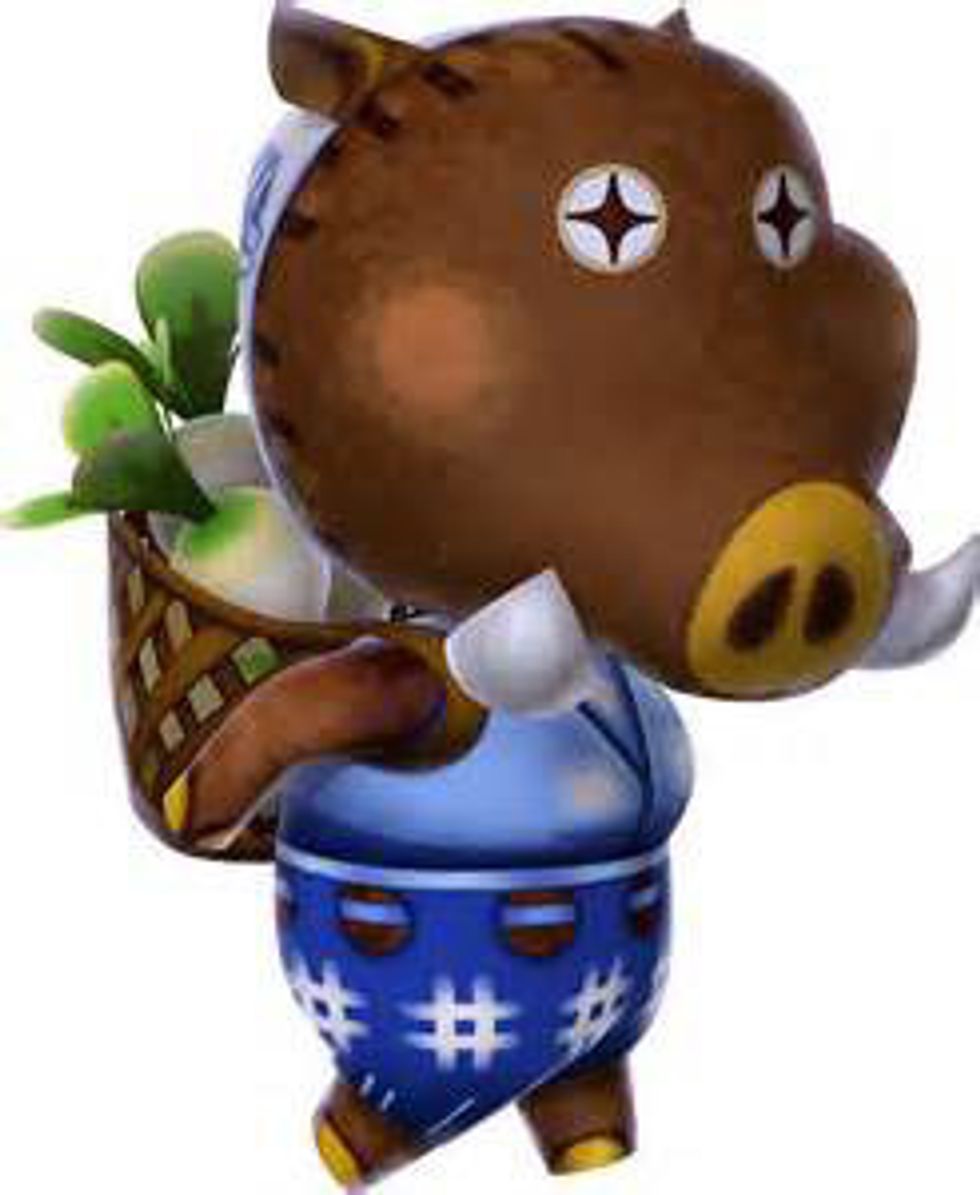 10 ACNL Tips That Have Helped Me the Most