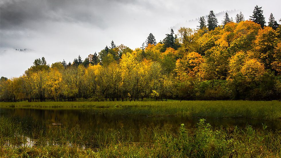 What Fall Looks Like Around The World