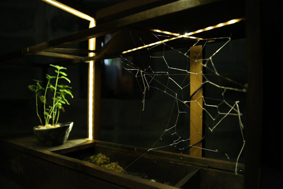 The Lowline: The World's First Underground Park