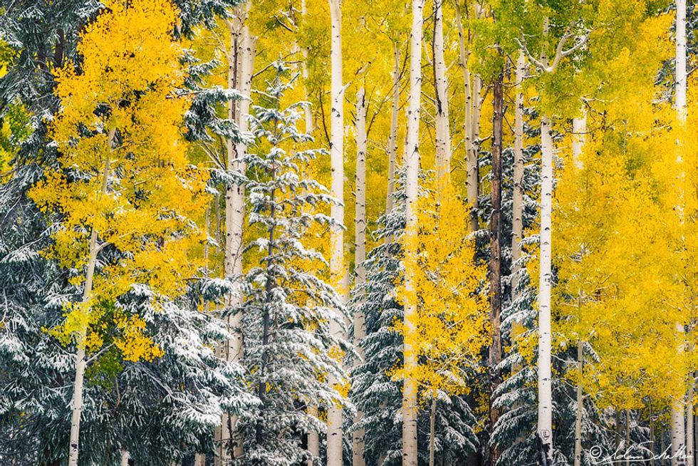 7 Best Things About Fall in Flagstaff