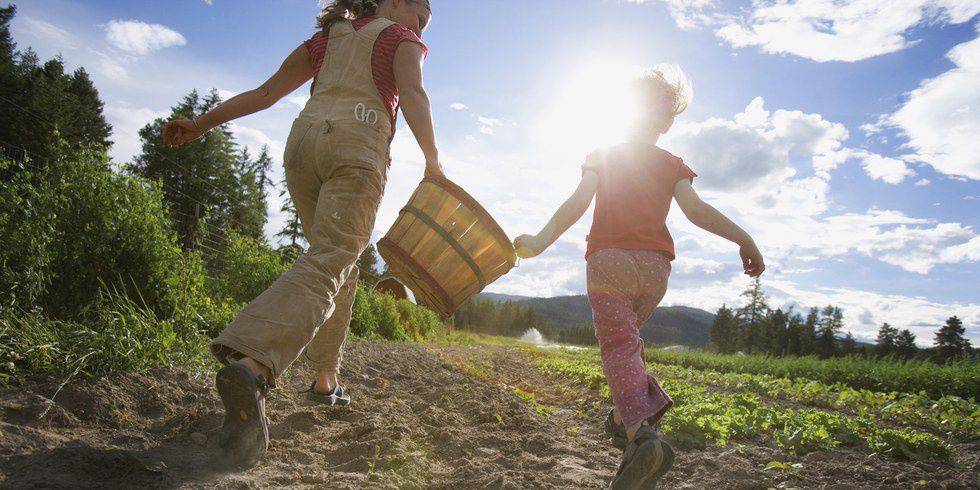 11 Life Lessons I've Learned From Living On A Farm